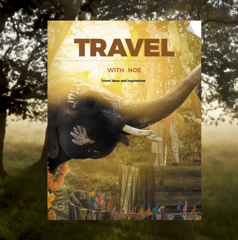 How can I make my flipbook's menu invisible?