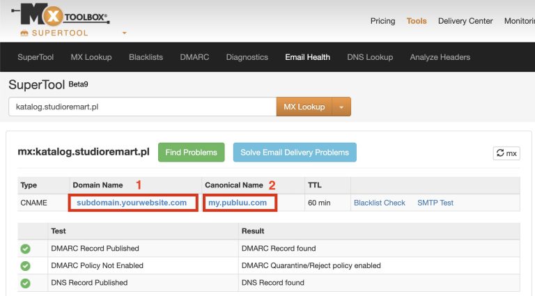 Fixing custom domain problems | Publuu